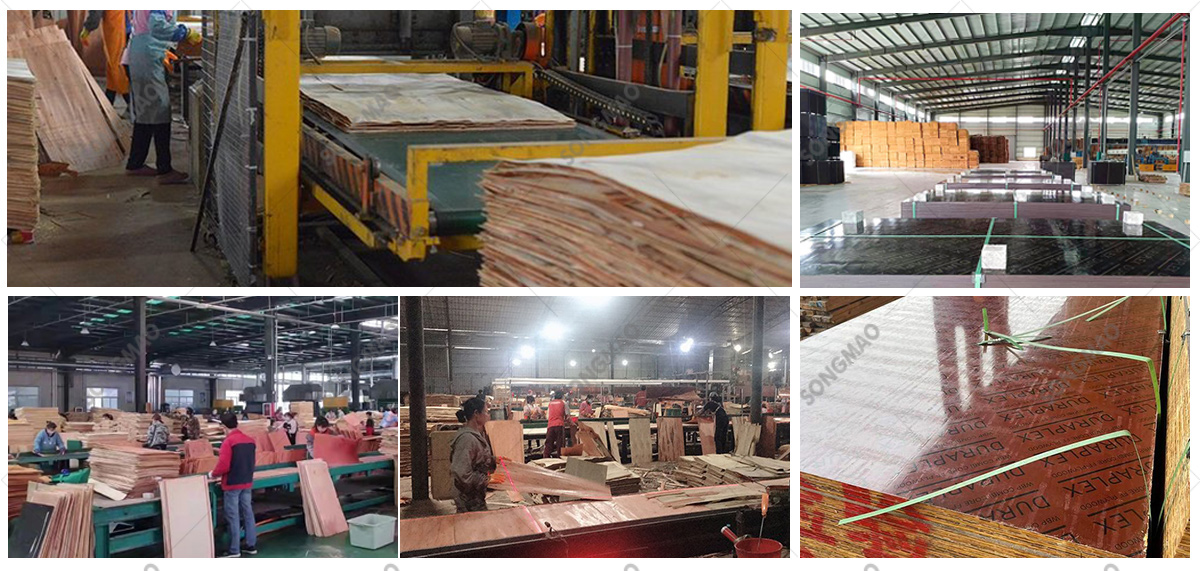 Plywood Formwork - SongMao - SongMao